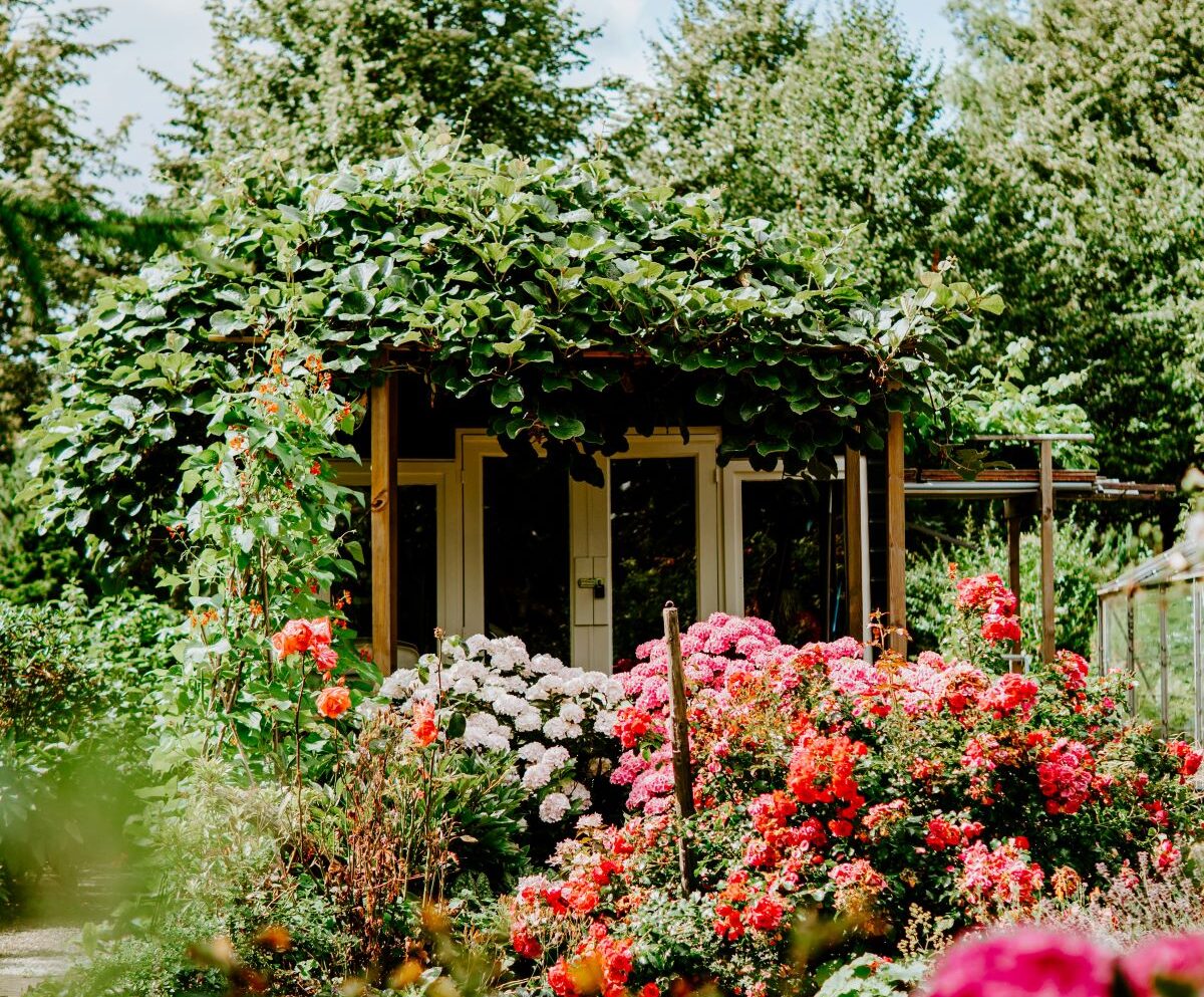 ¿Cómo es el jardín ideal? 8 ideas prácticas - Jardines Belloc